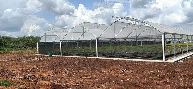 Desain Greenhouse yang Sesuai untuk Iklim Tropikal